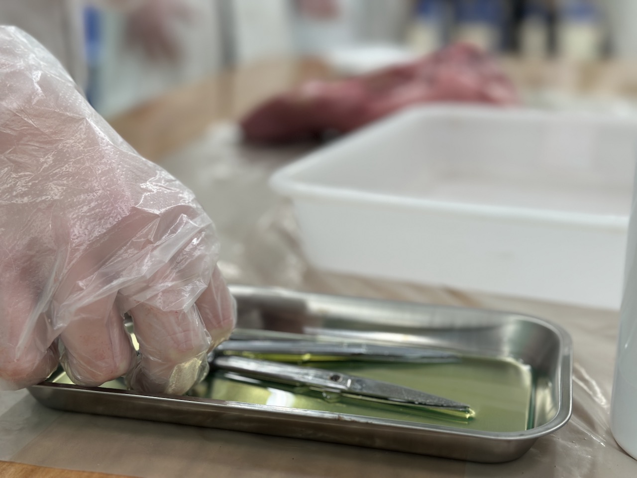 Operating Theatre Live 2024 - Reigate College